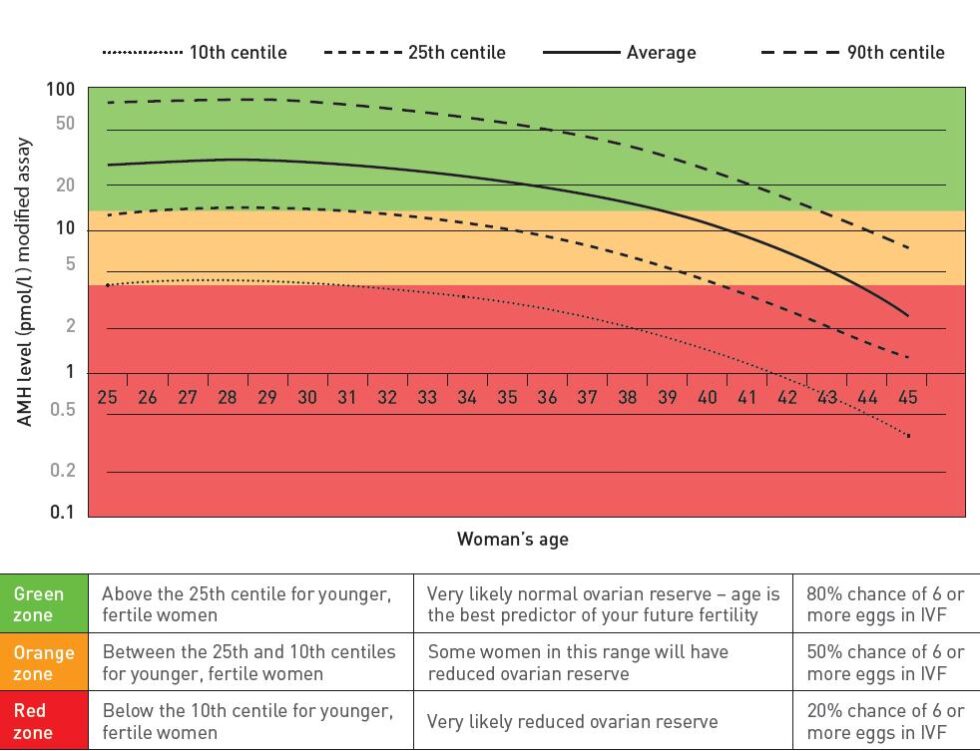 Understanding AMH Levels: A Key Marker of Fertility